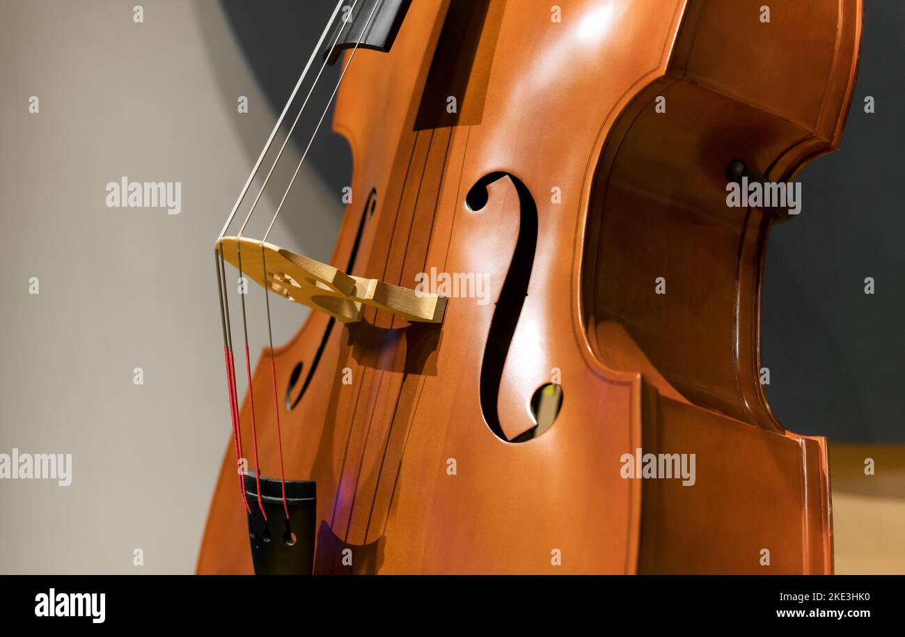 Closeup contrabass with thick strings installed on stage during ...