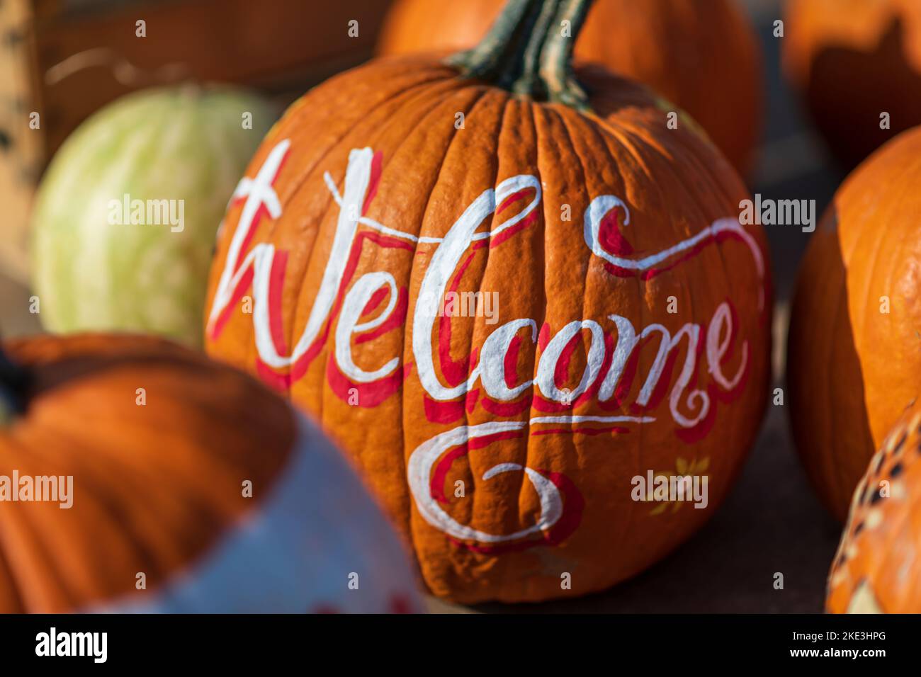 October day daytime sunny bright horizontal hi-res stock photography ...