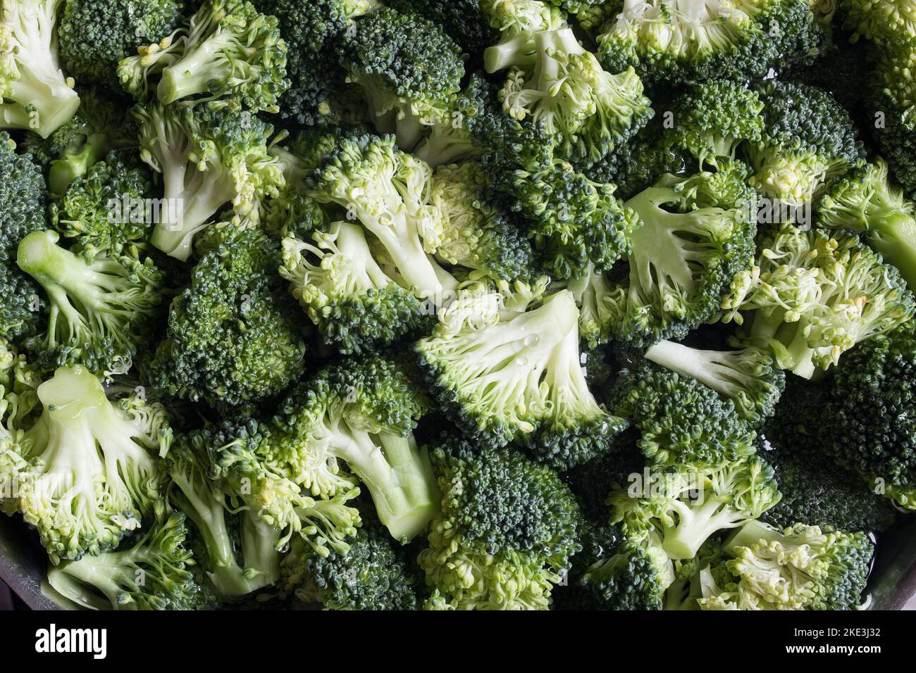 Overhead view of a Close-up detail of a bunch of cut broccoli wet, and ...