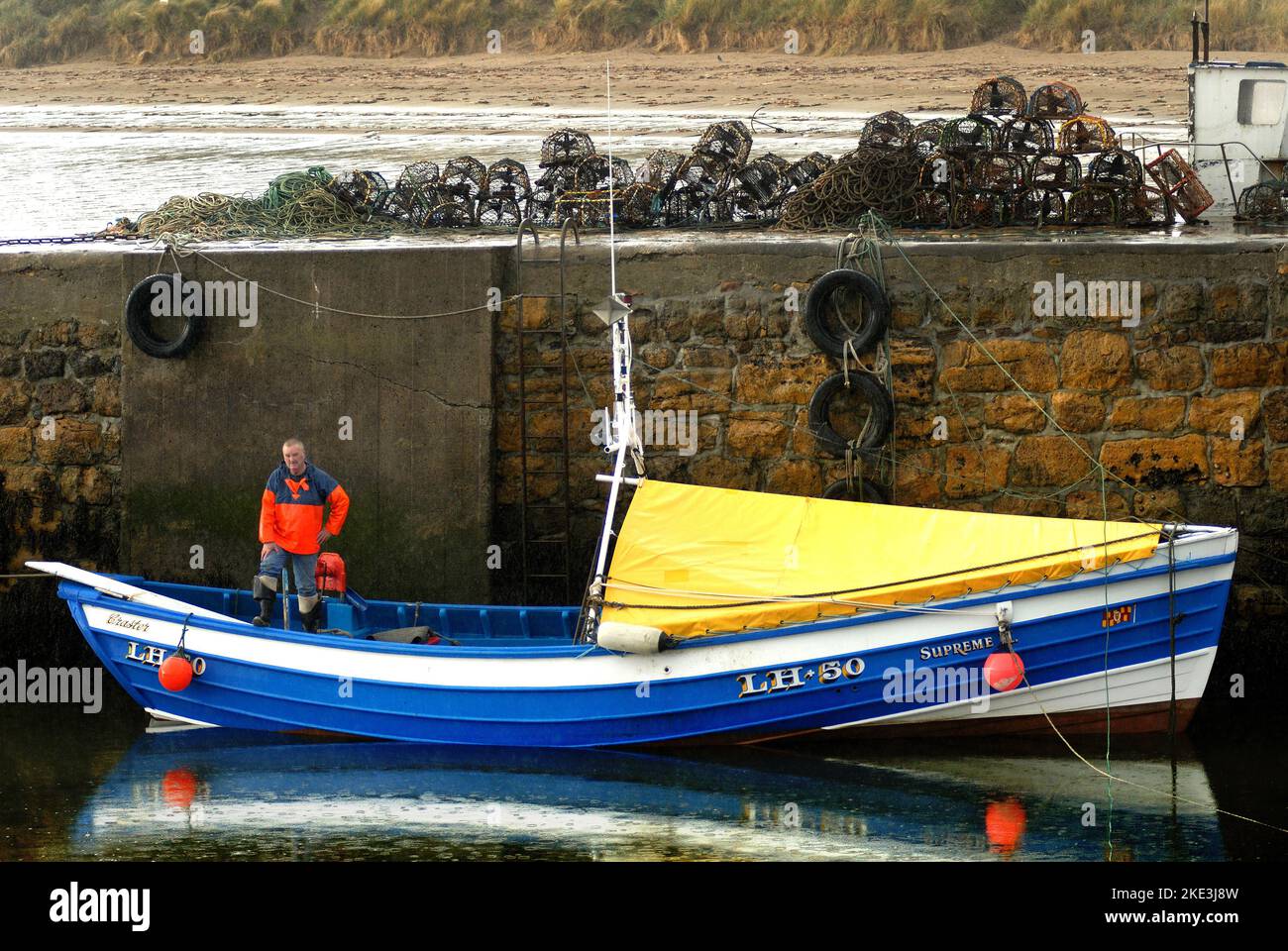 Fisherman in traditional Coble boat, Beadnell harbour, Northumberland ...
