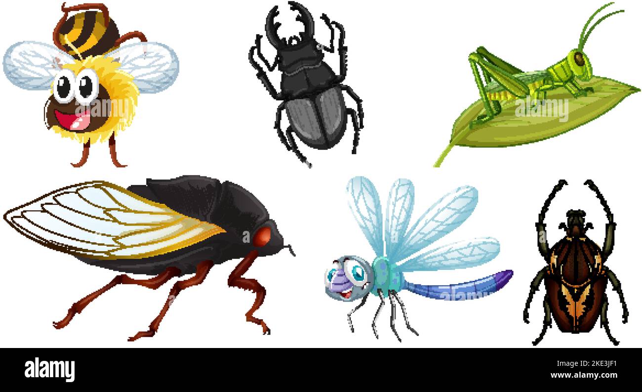 Set of different kinds of insects illustration Stock Vector Image & Art ...