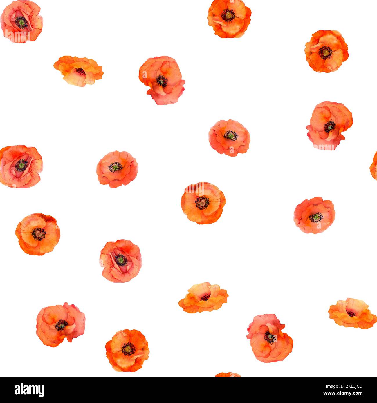 Watercolor seamless pattern with hand drawn summer bright red poppy ...