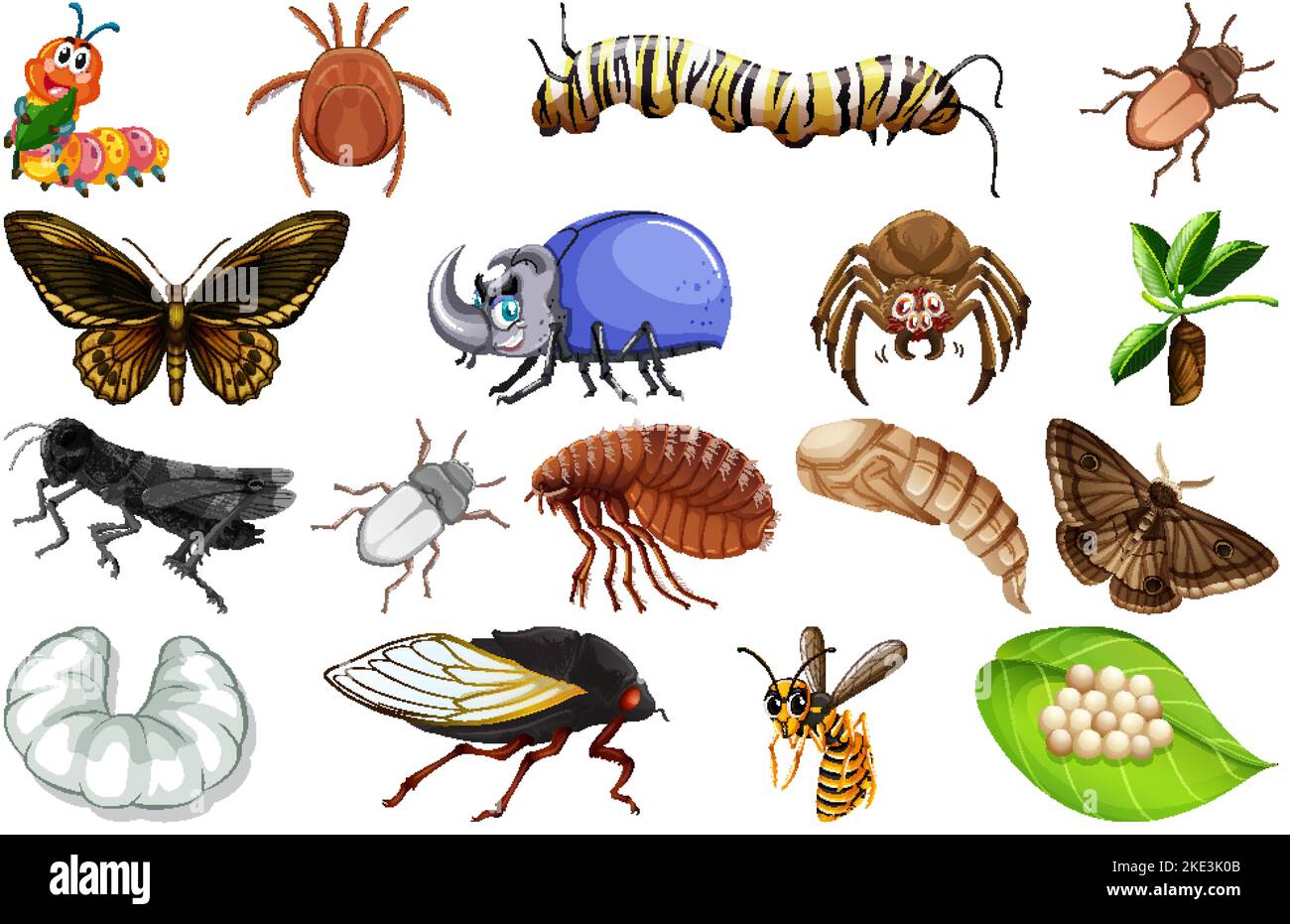 Different kinds of insects collection illustration Stock Vector Image ...