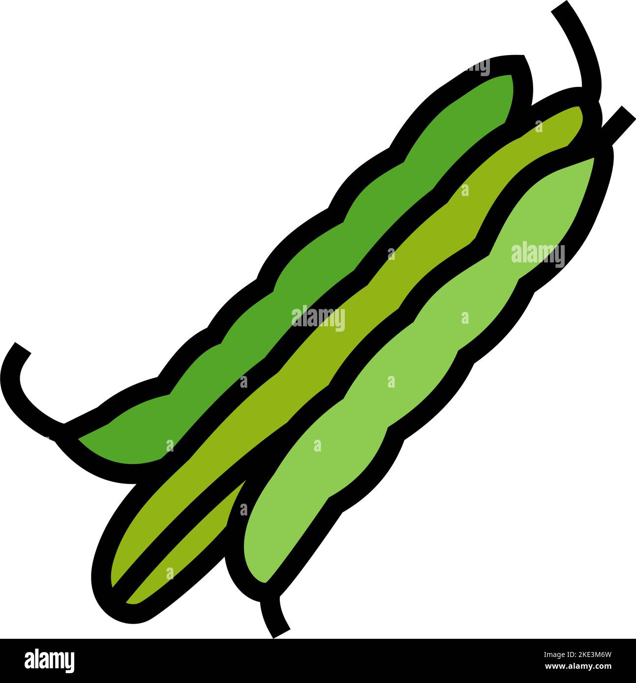 green bean fresh color icon vector illustration Stock Vector Image ...