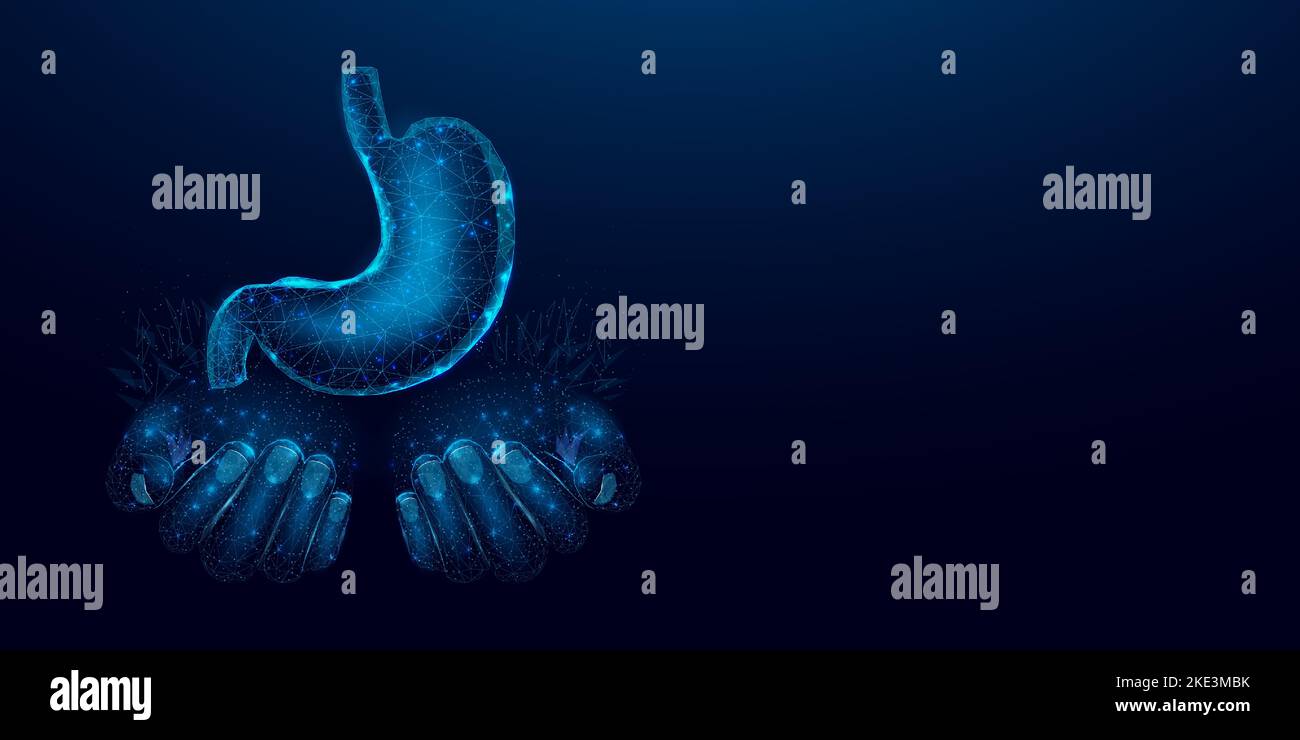 Two human hands are holds human stomach. Concept for medical, treatment ...