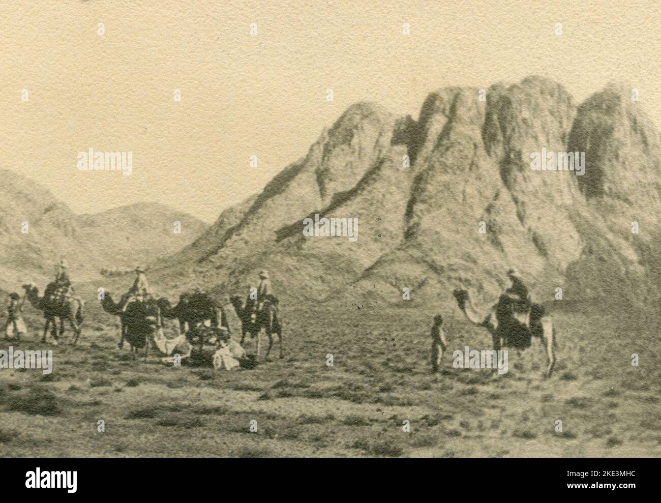Caravan with camels at Mount Sinai, Egypt 1924 Stock Photo - Alamy