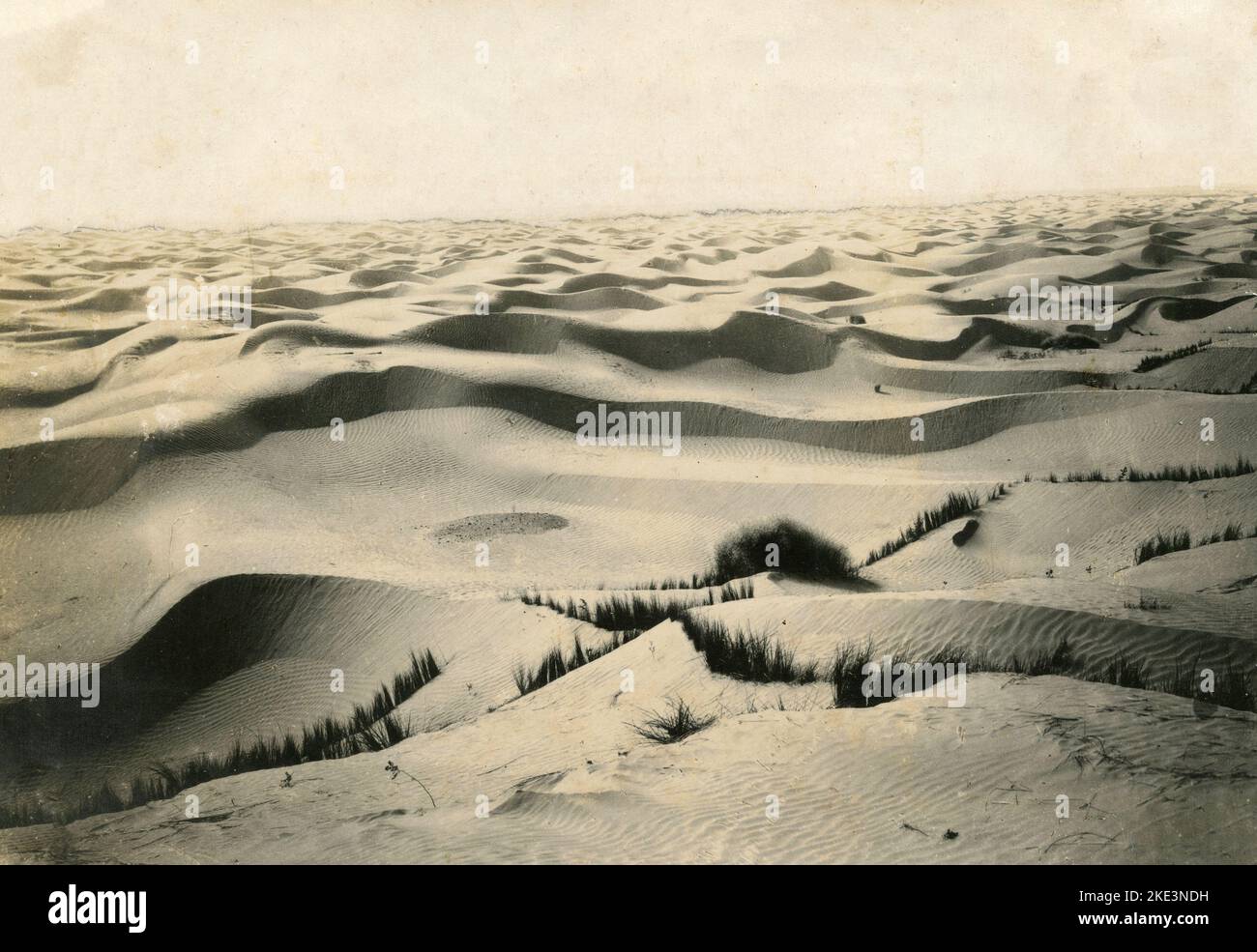 Quiksand hi-res stock photography and images - Alamy