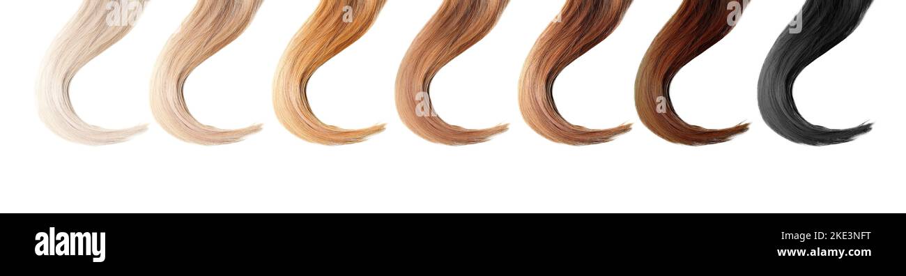 Hair palette on white background Stock Photo - Alamy