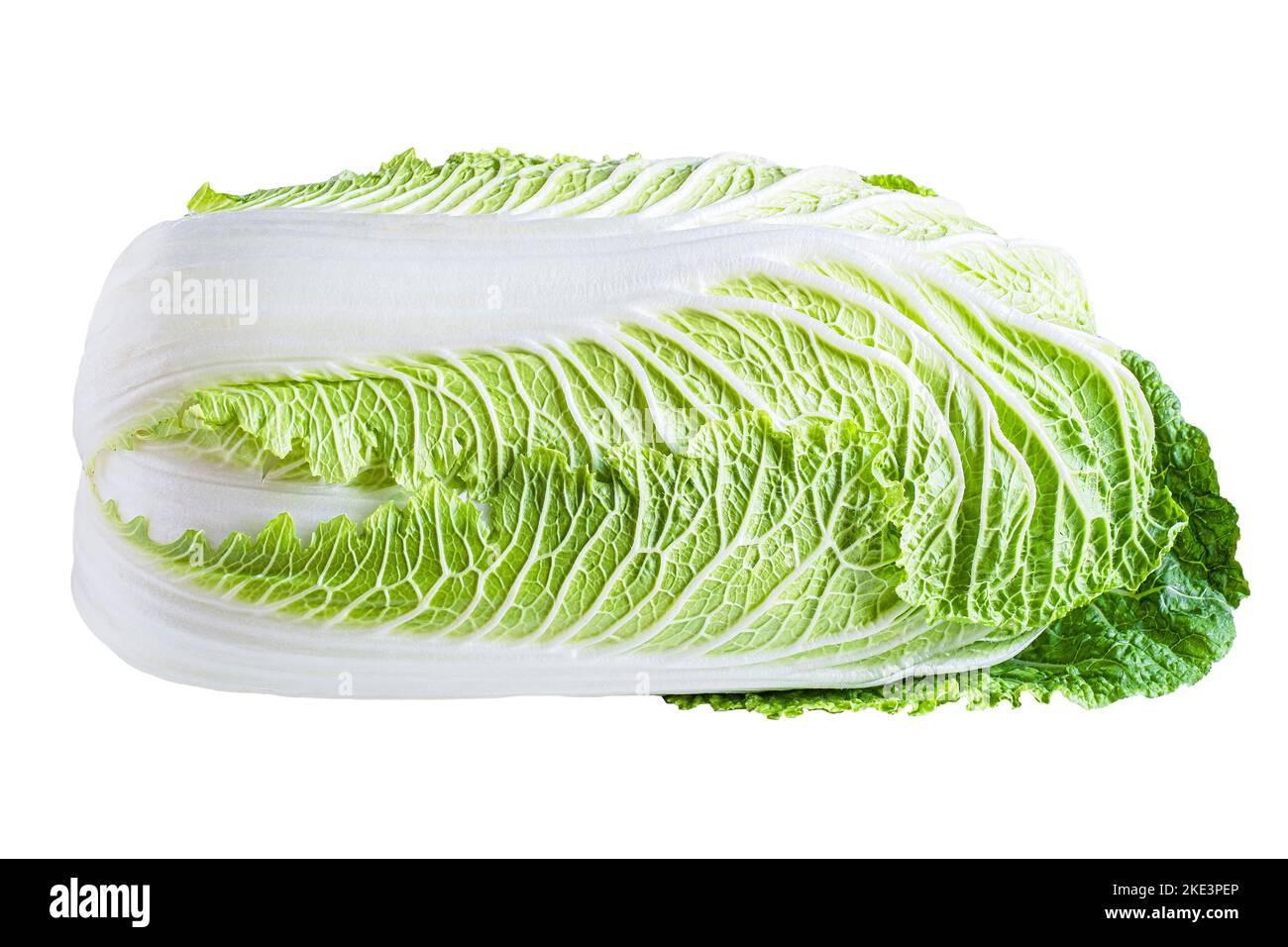 Napa cabbage or chinese cabbage isolated on white background Stock ...