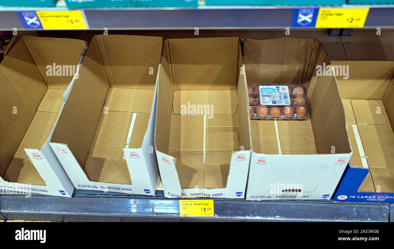 Empty egg shelves hi-res stock photography and images - Alamy