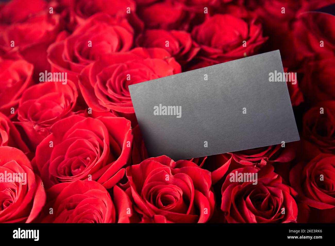 A blank black card with space for text in the bouquet of red roses ...