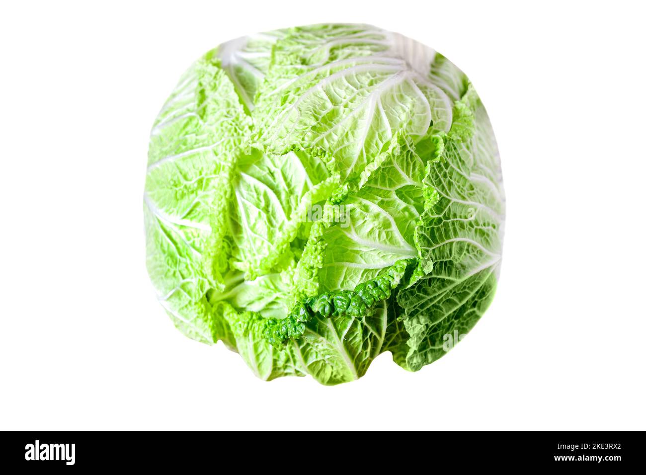 Napa cabbage or chinese cabbage isolated on white background Stock ...