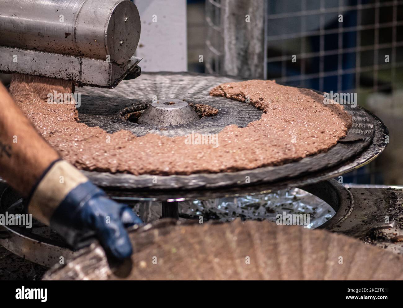 Ecological extra virgin olive oil production with modern technology ...
