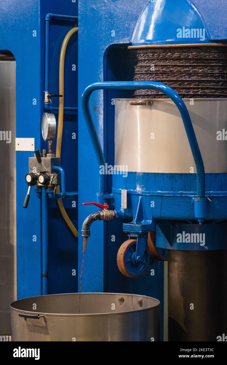 Ecological extra virgin olive oil production with modern technology ...