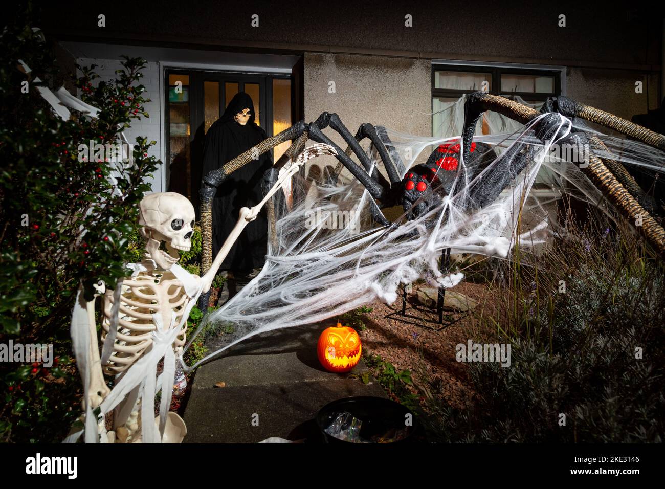 A Scottish house celebrating halloween with a giant spider & skeleton ...