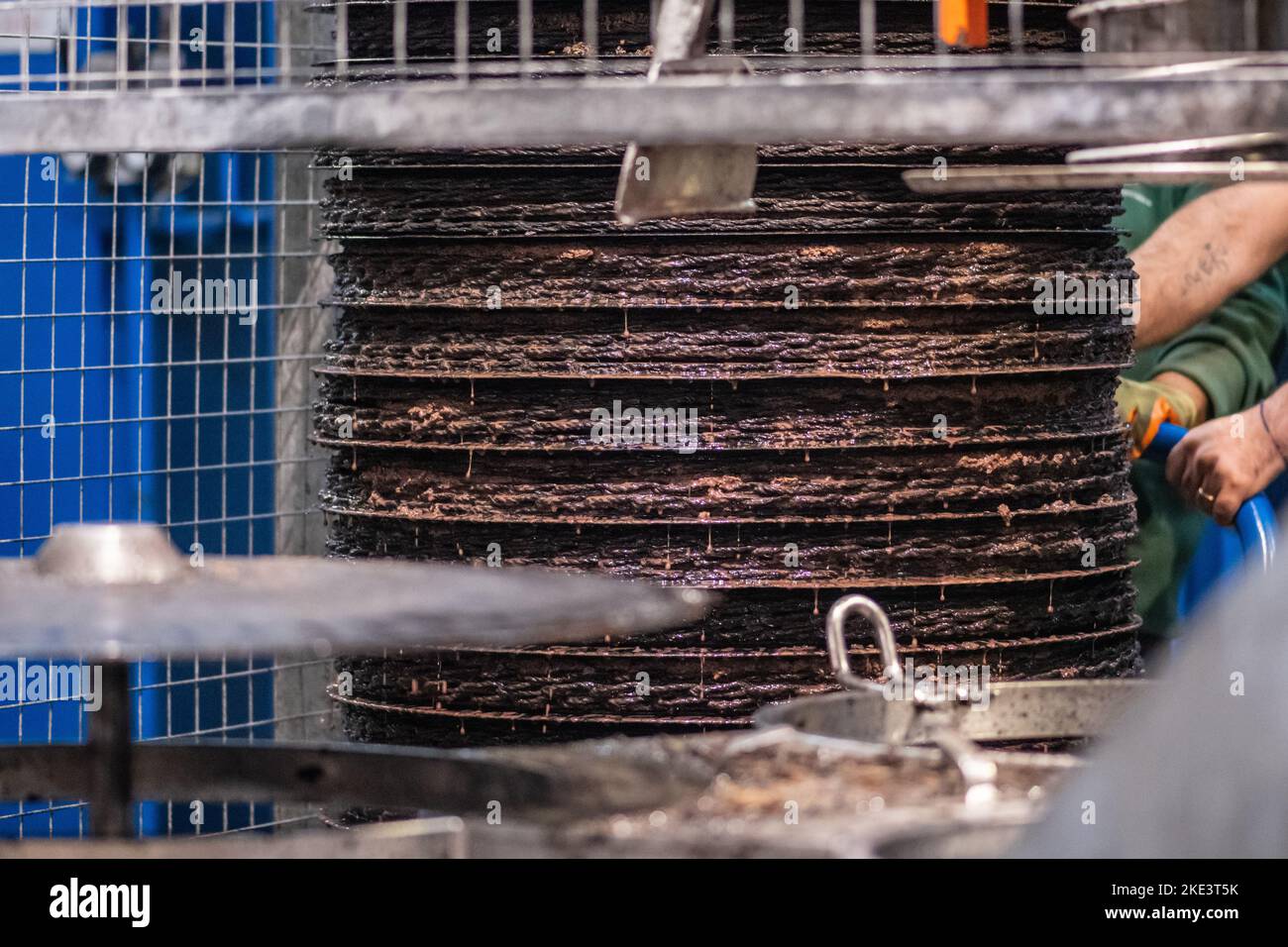 Ecological extra virgin olive oil production with modern technology ...