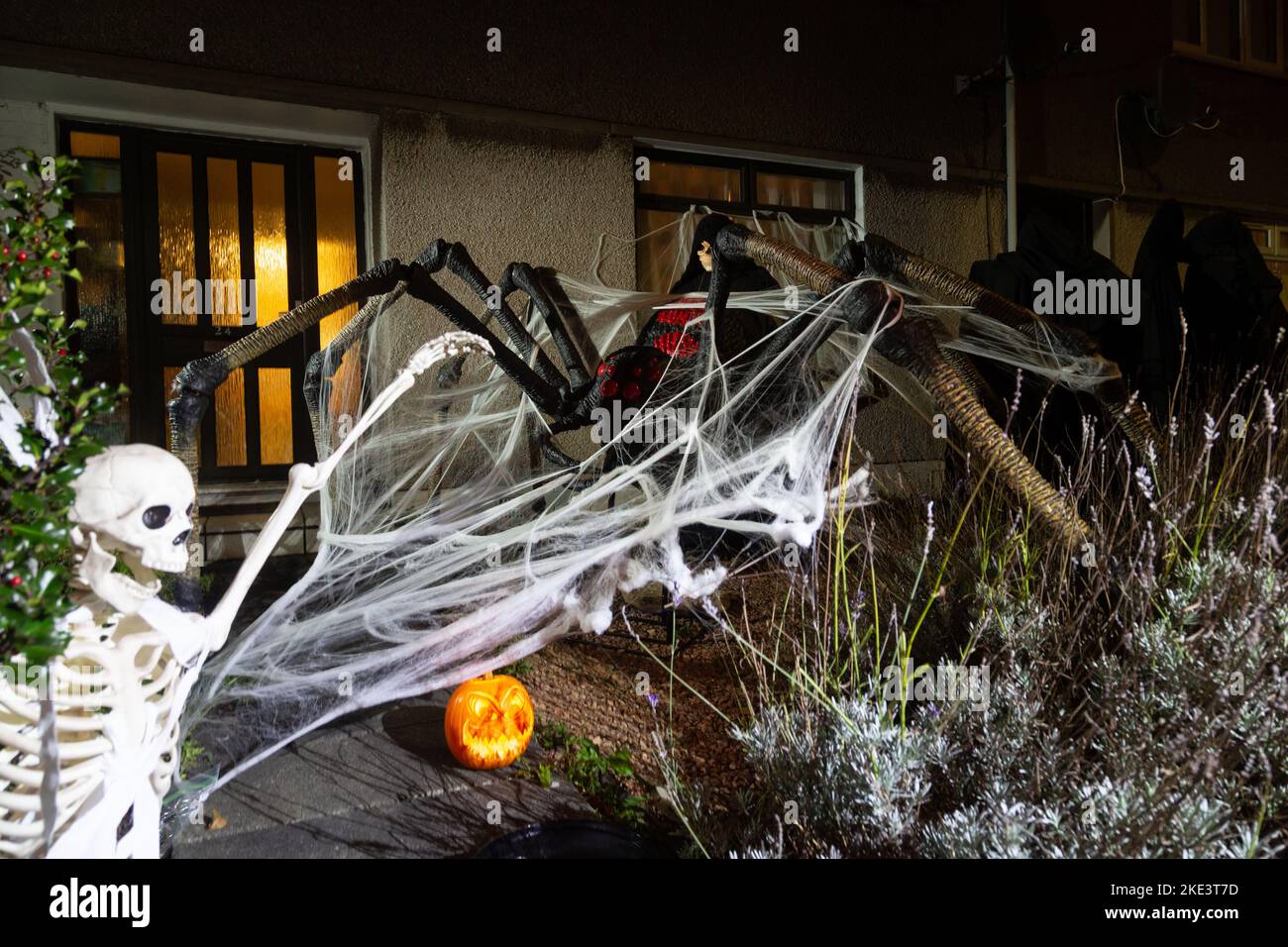 A Scottish house celebrating halloween with a giant spider & skeleton ...