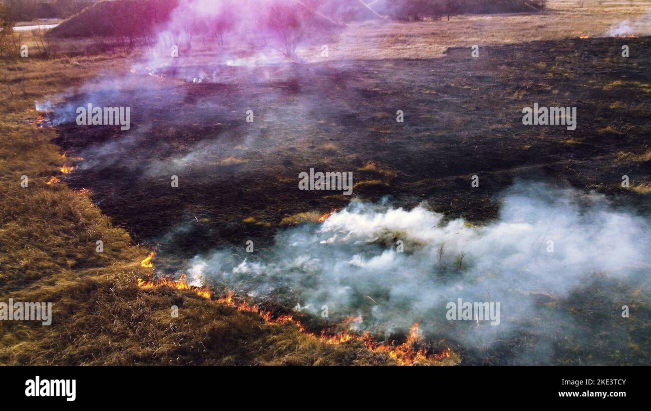 Aerial Drone View Over Burning Dry Grass and Smoke in Field. Flame and ...