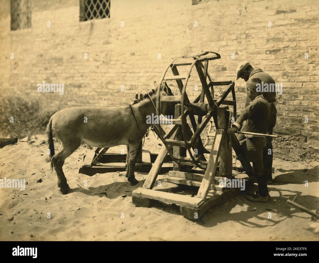 Rope makers with wheel and donkey, Italy 1880s Stock Photo - Alamy