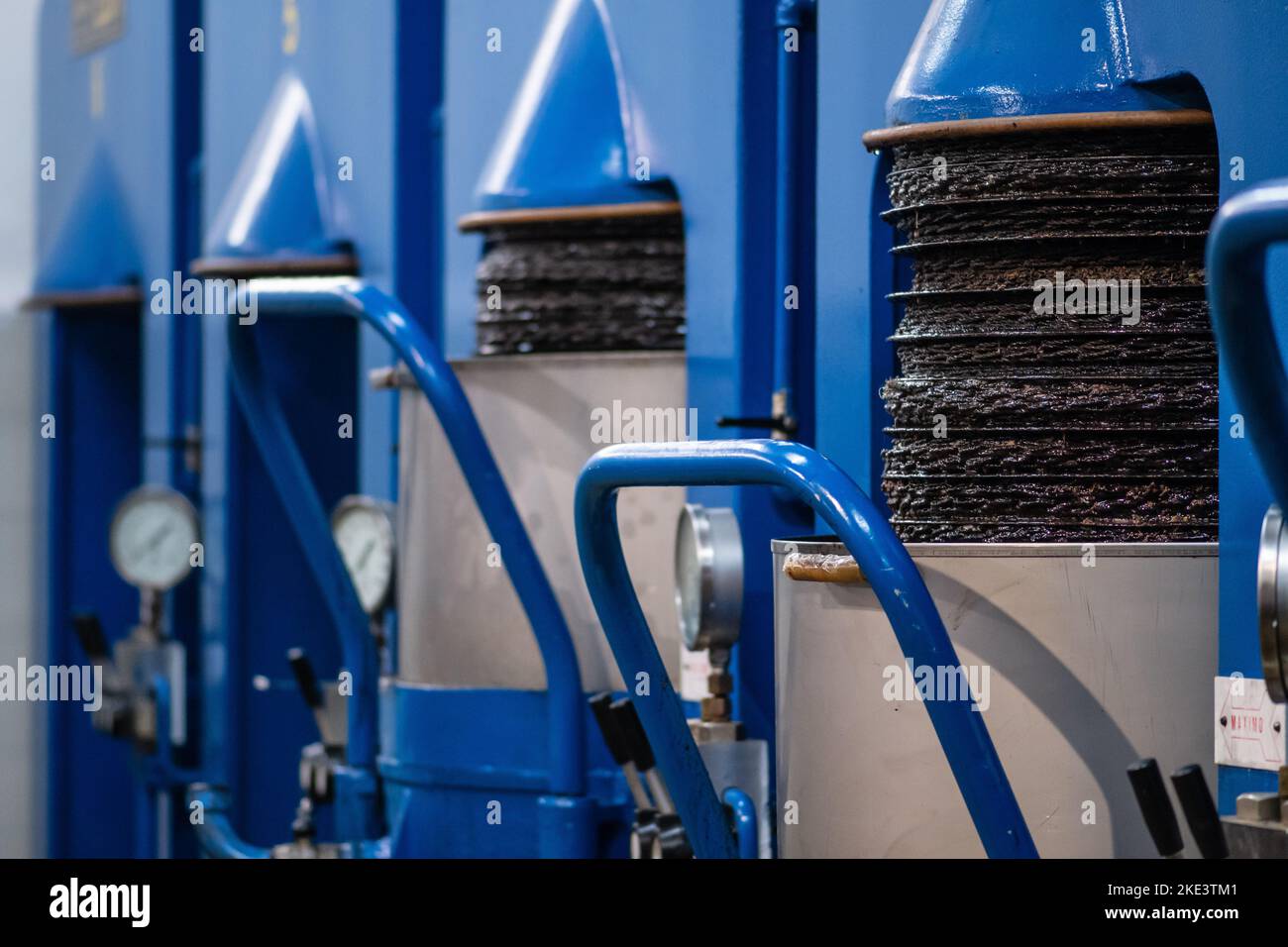 Ecological extra virgin olive oil production with modern technology ...