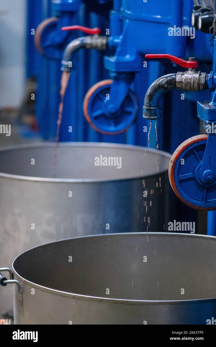 Ecological extra virgin olive oil production with modern technology ...