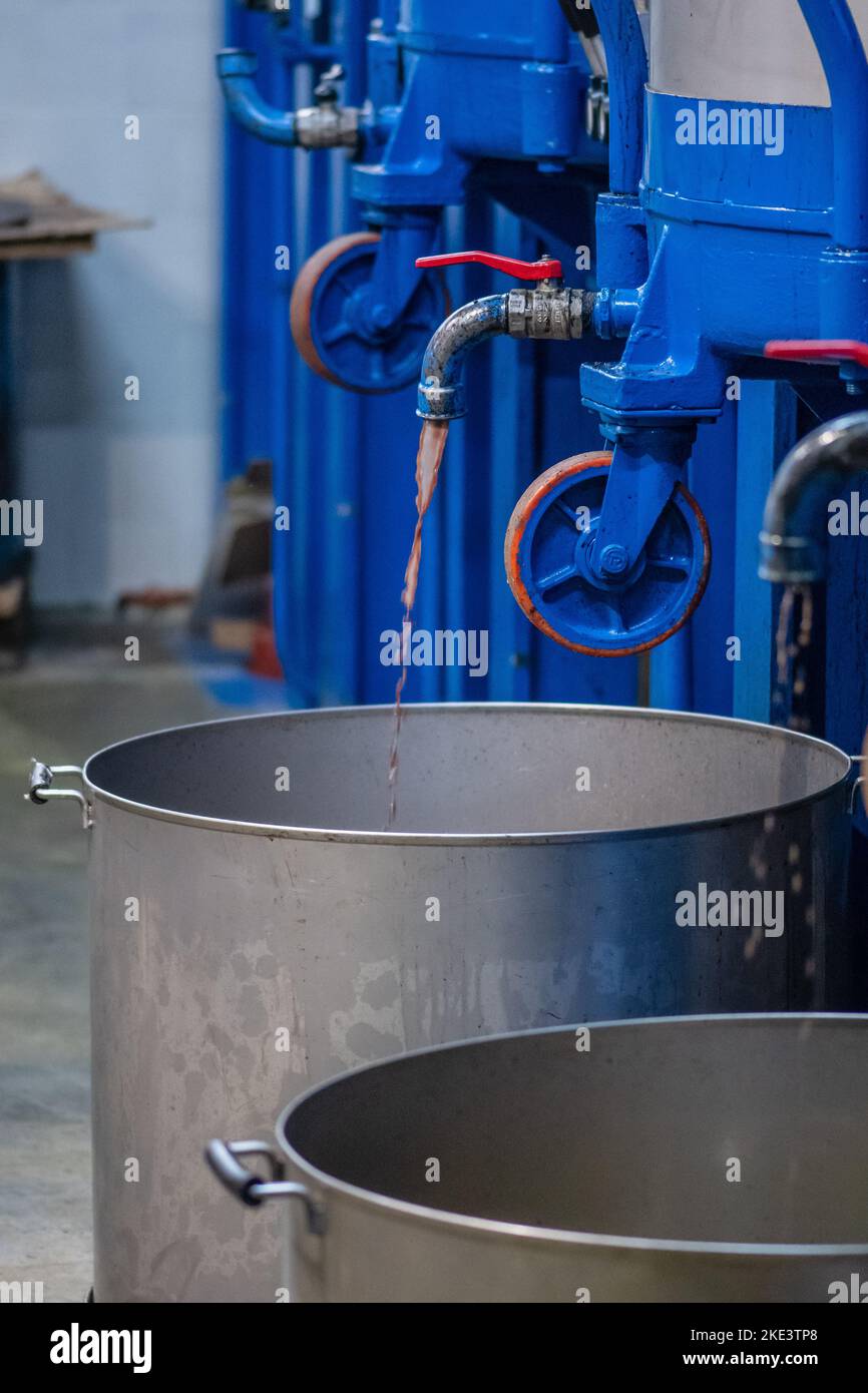 Ecological extra virgin olive oil production with modern technology ...