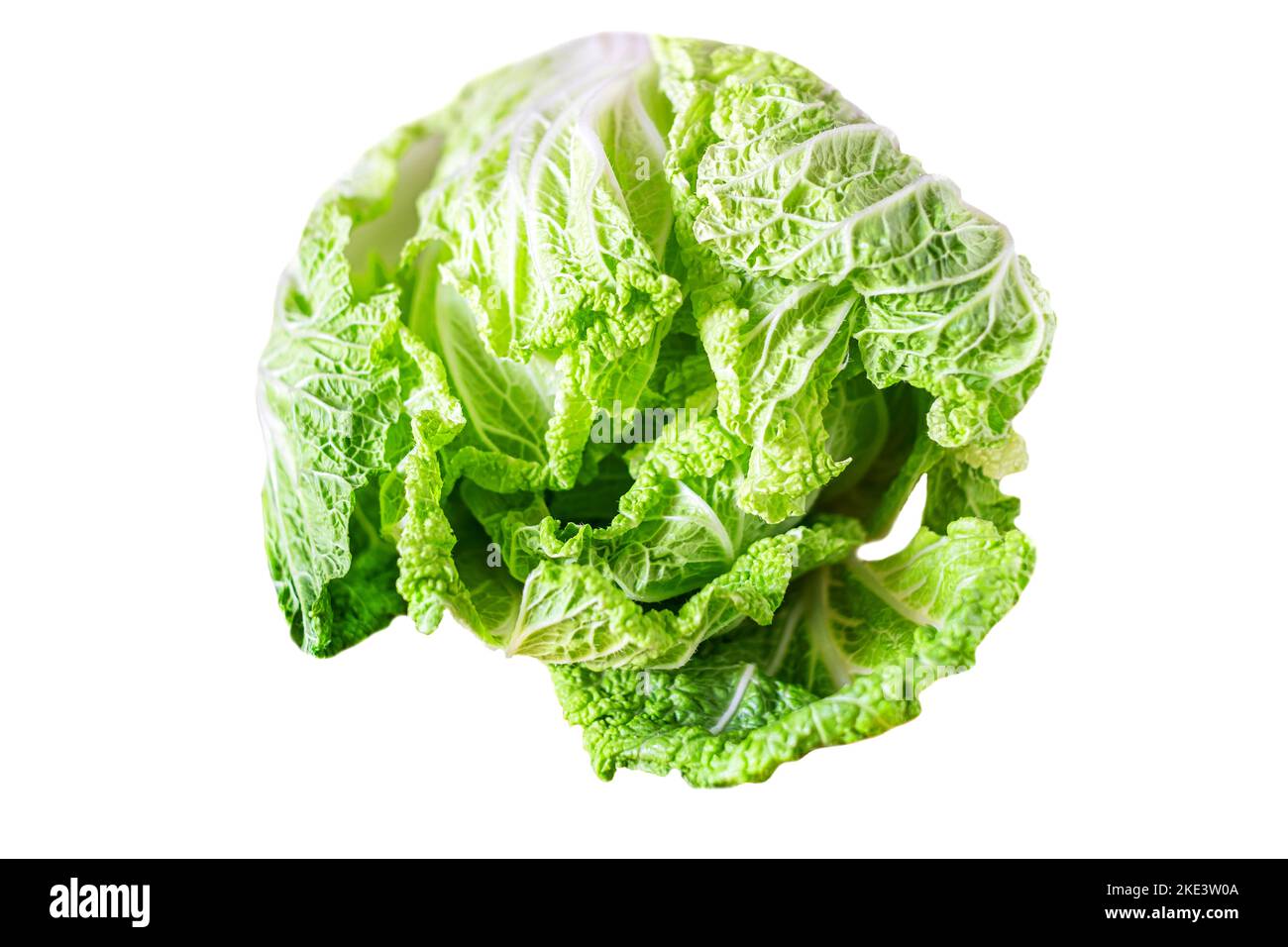 Napa cabbage or chinese cabbage isolated on white background Stock ...