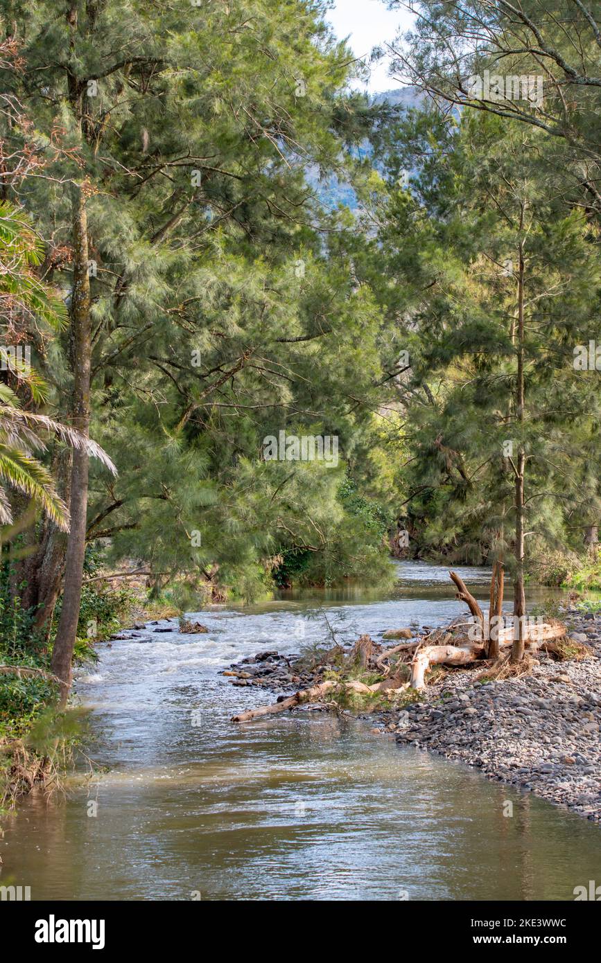 Australian creek rivulet hi-res stock photography and images - Alamy