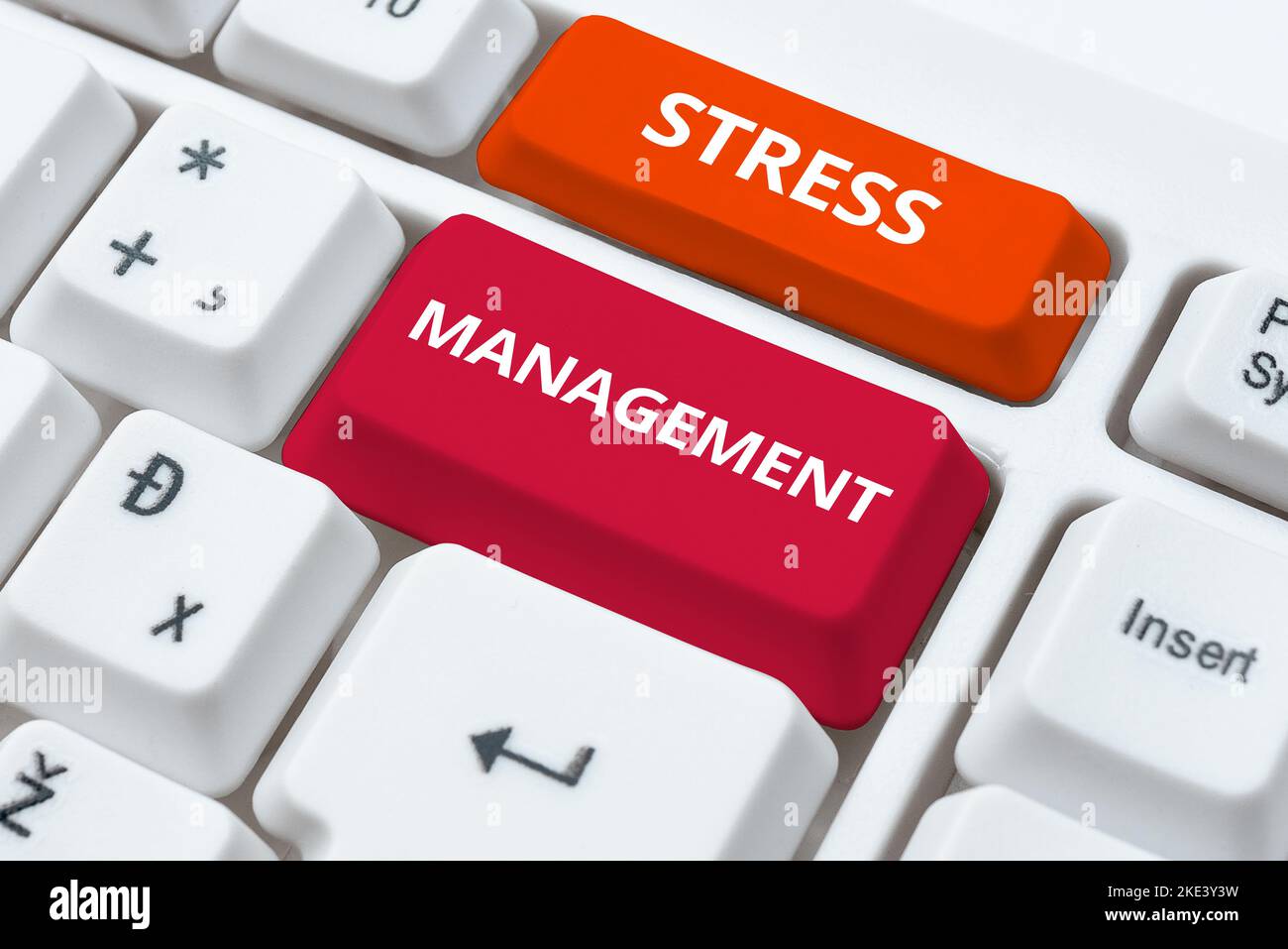 Conceptual display Stress Management. Business overview method of ...