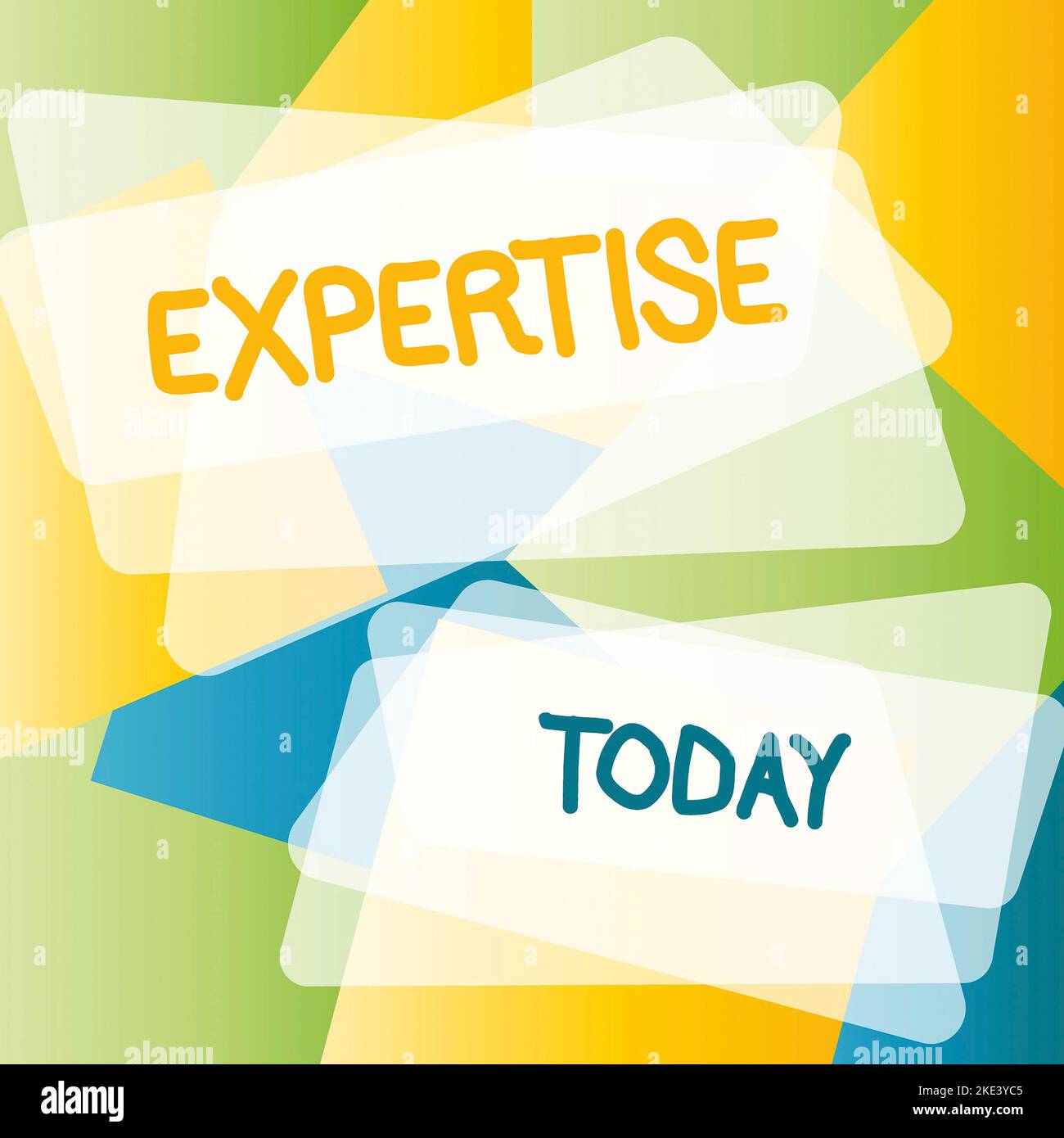 Conceptual display Expertise. Business idea specific competences of ...