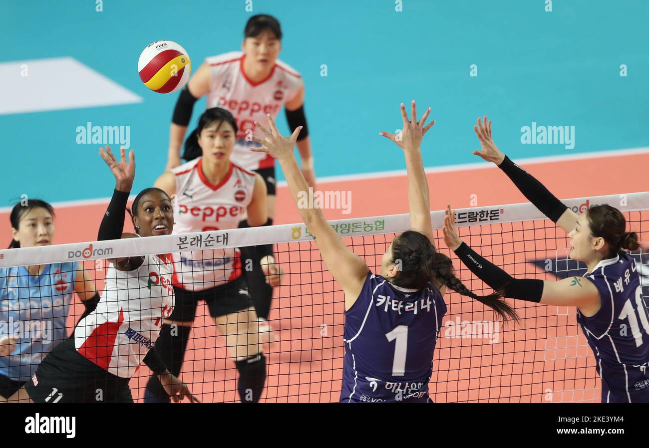 10th Nov, 2022. Volleyball: Pepper Savings Bank vs. Korea Expressway ...