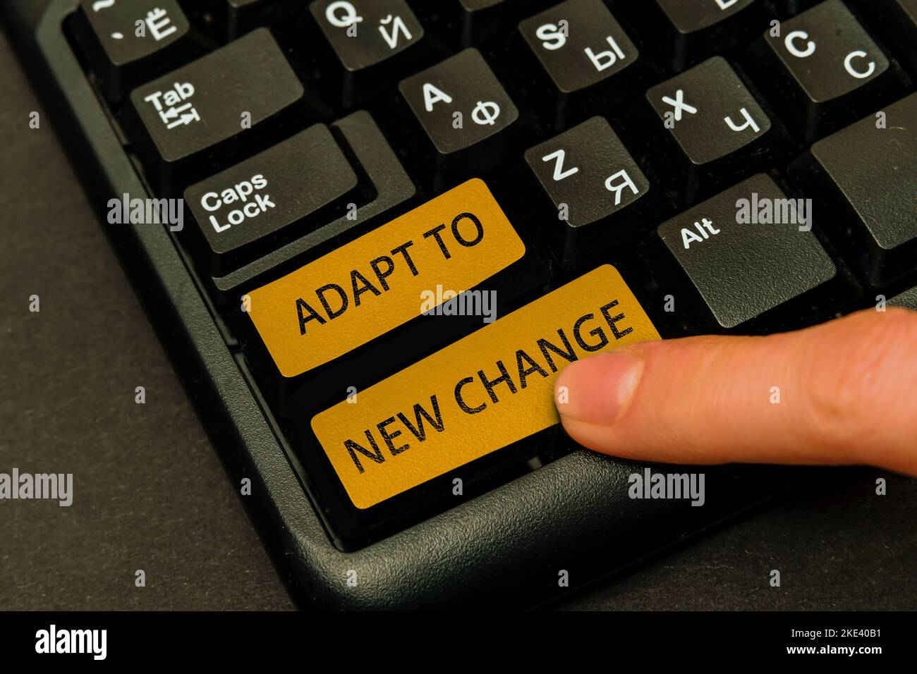Conceptual caption Adapt To New Change. Business overview Get Used to ...