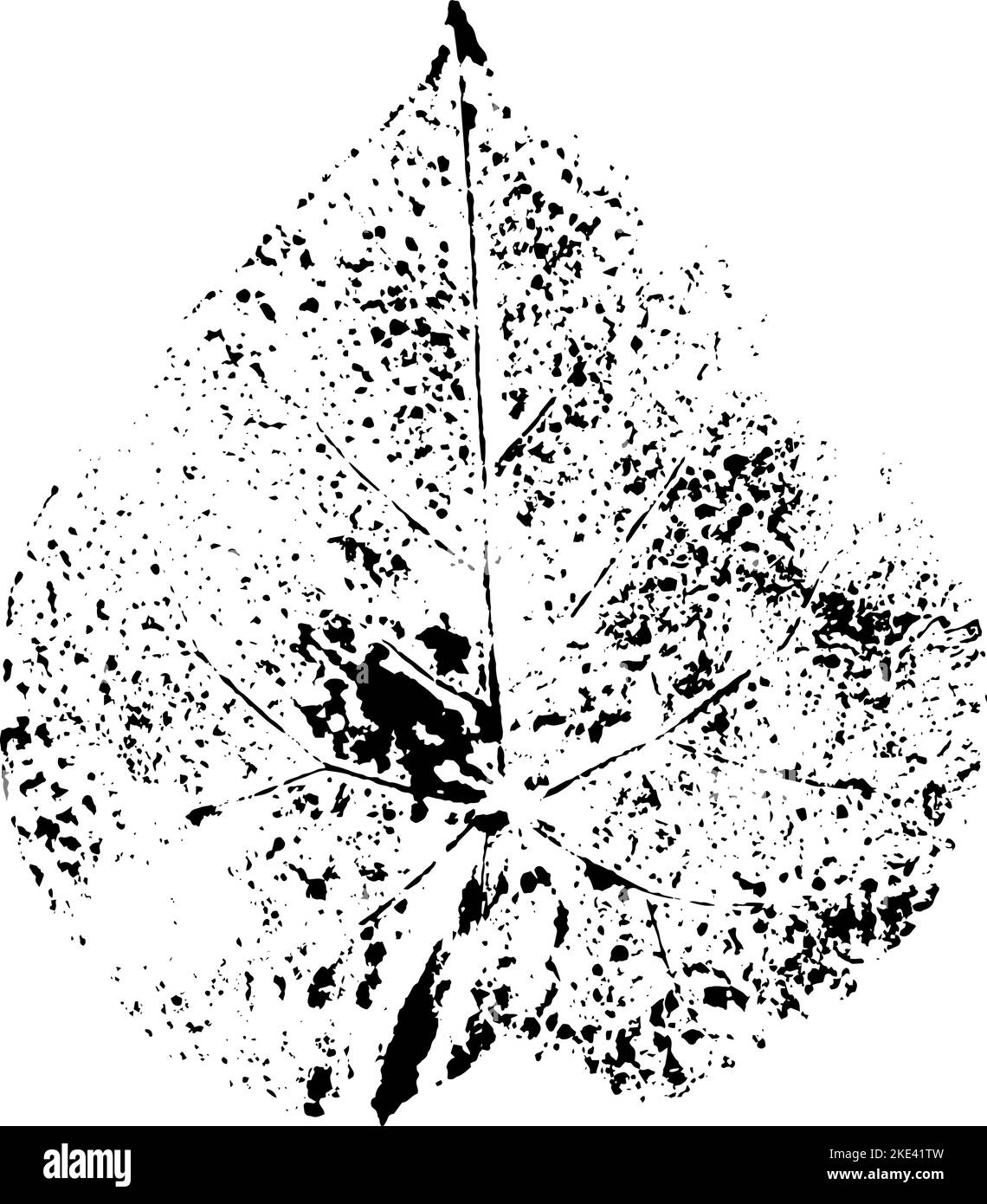 Set of leaf ink prints. Autumn herbarium, stamps leaves of trees ...