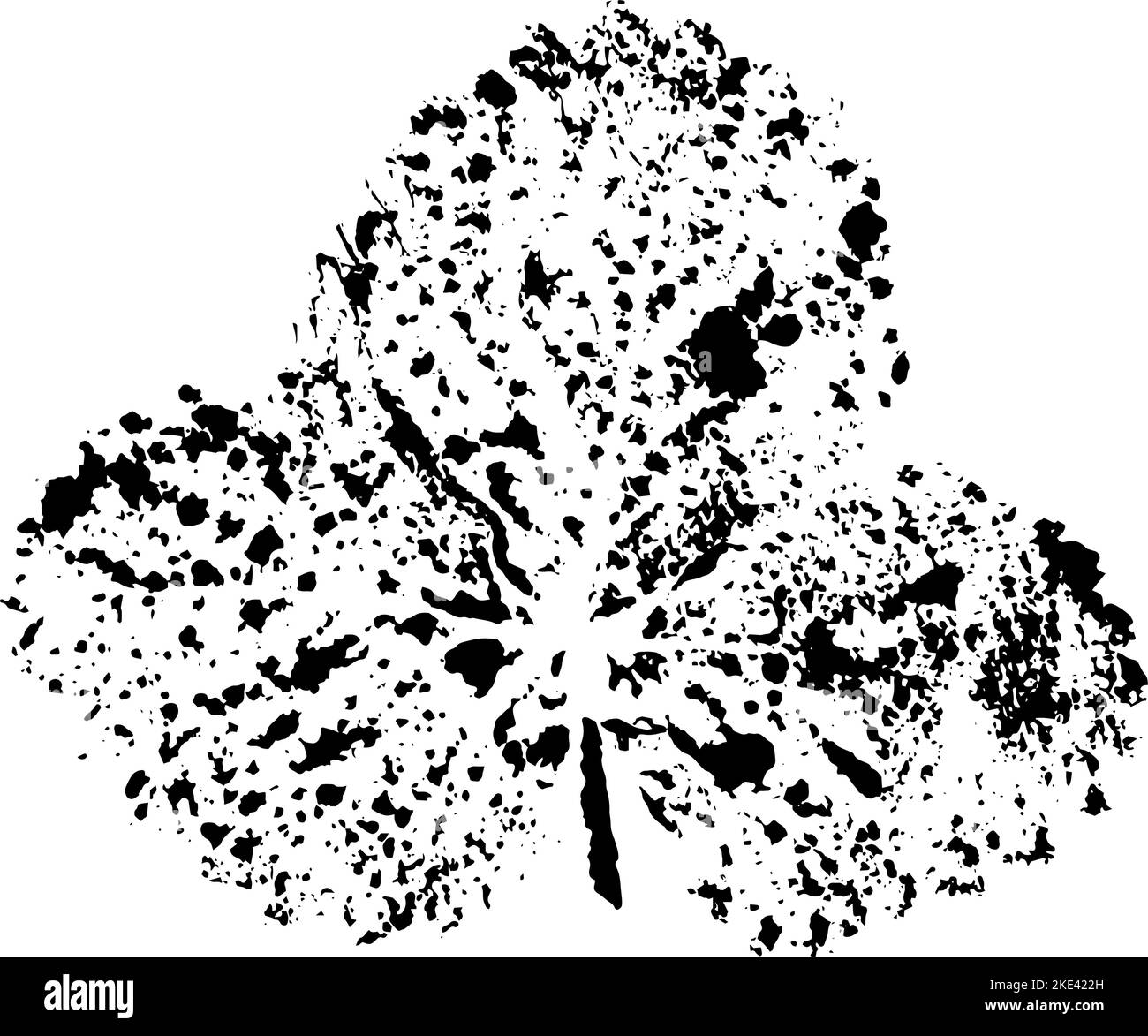 Set of leaf ink prints. Autumn herbarium, stamps leaves of trees ...