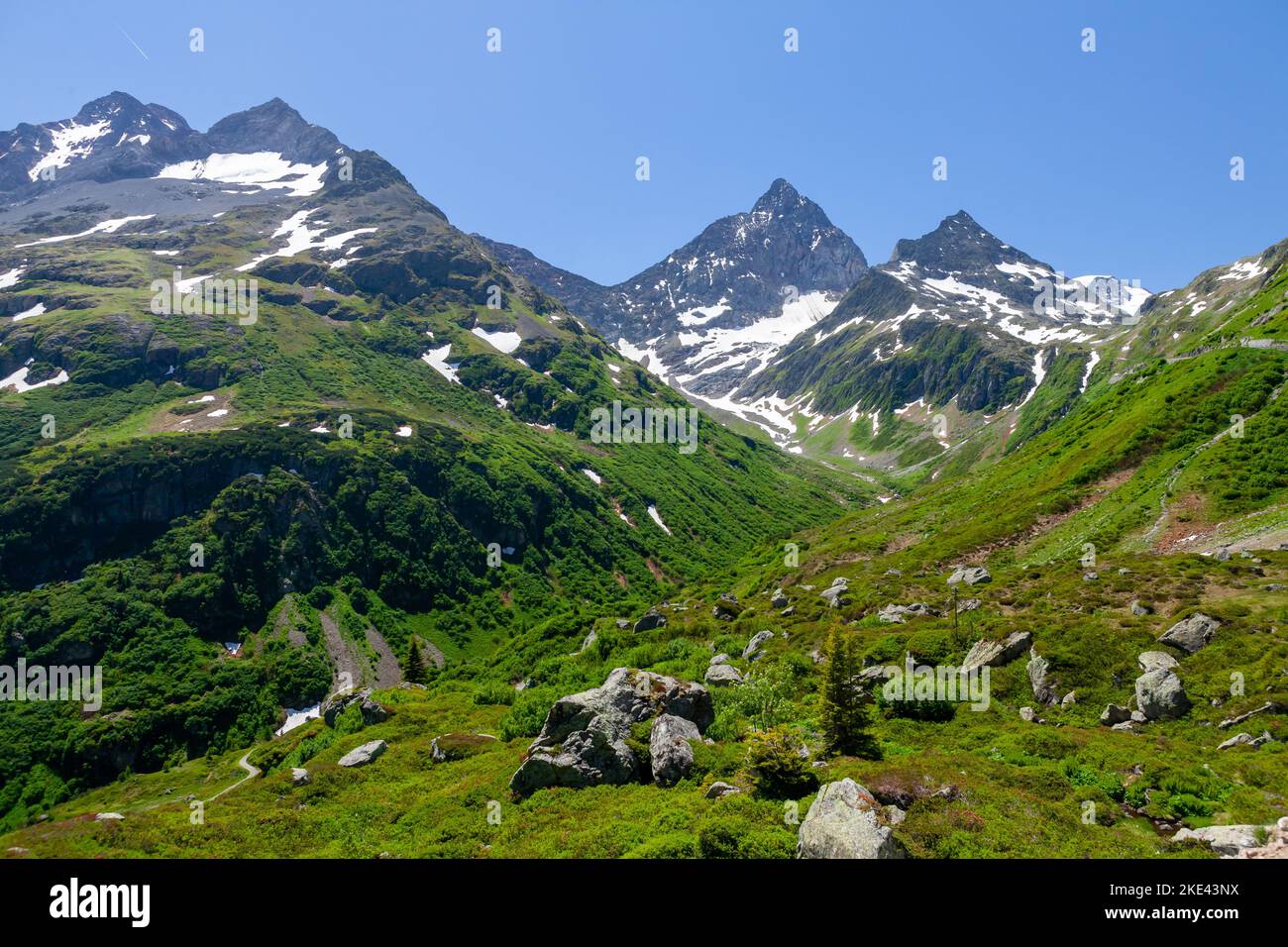 Panoramic view of green alpine meadows and the Alps mountains with snow ...