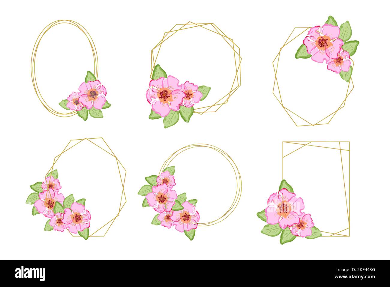 Romantic hand drawn pink rose flowers wreaths set. Geometric gold ...
