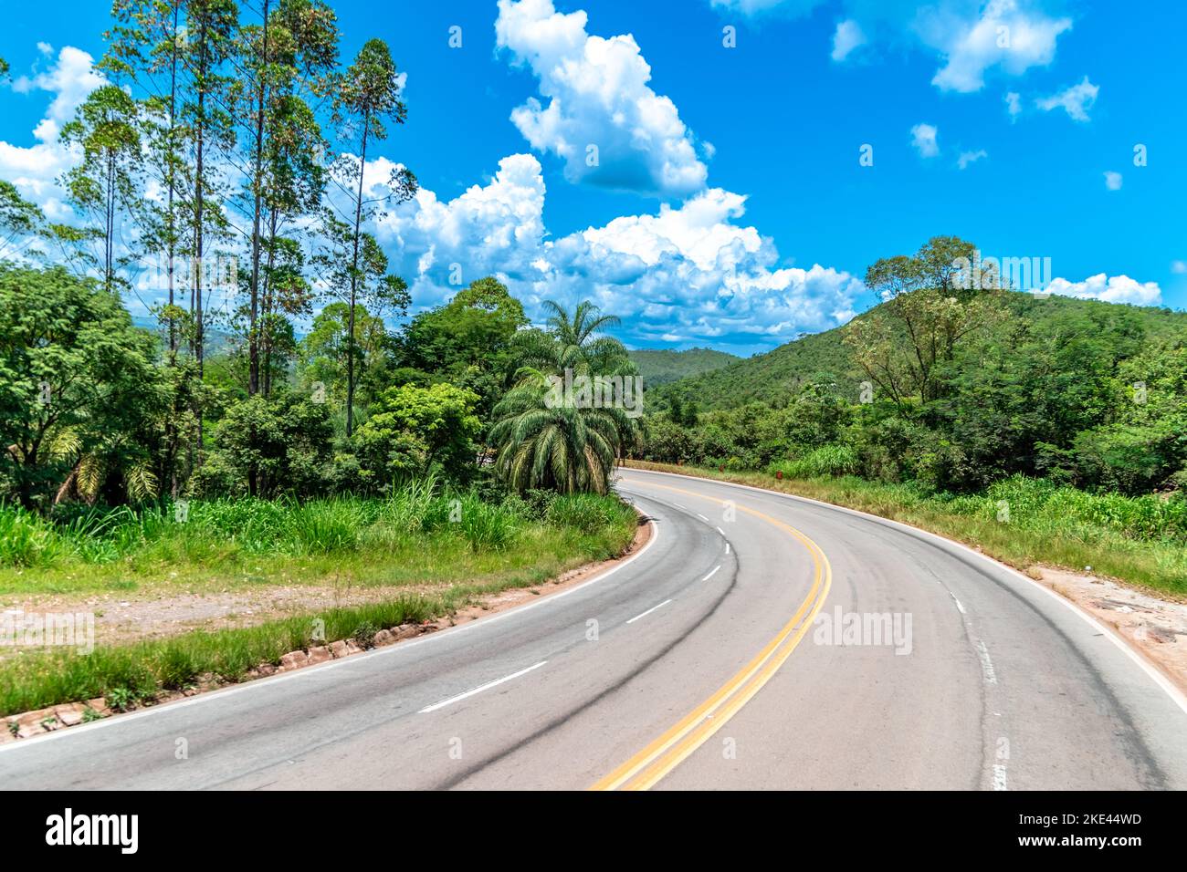 asphalt road in Brazilian nature in South America Stock Photo - Alamy