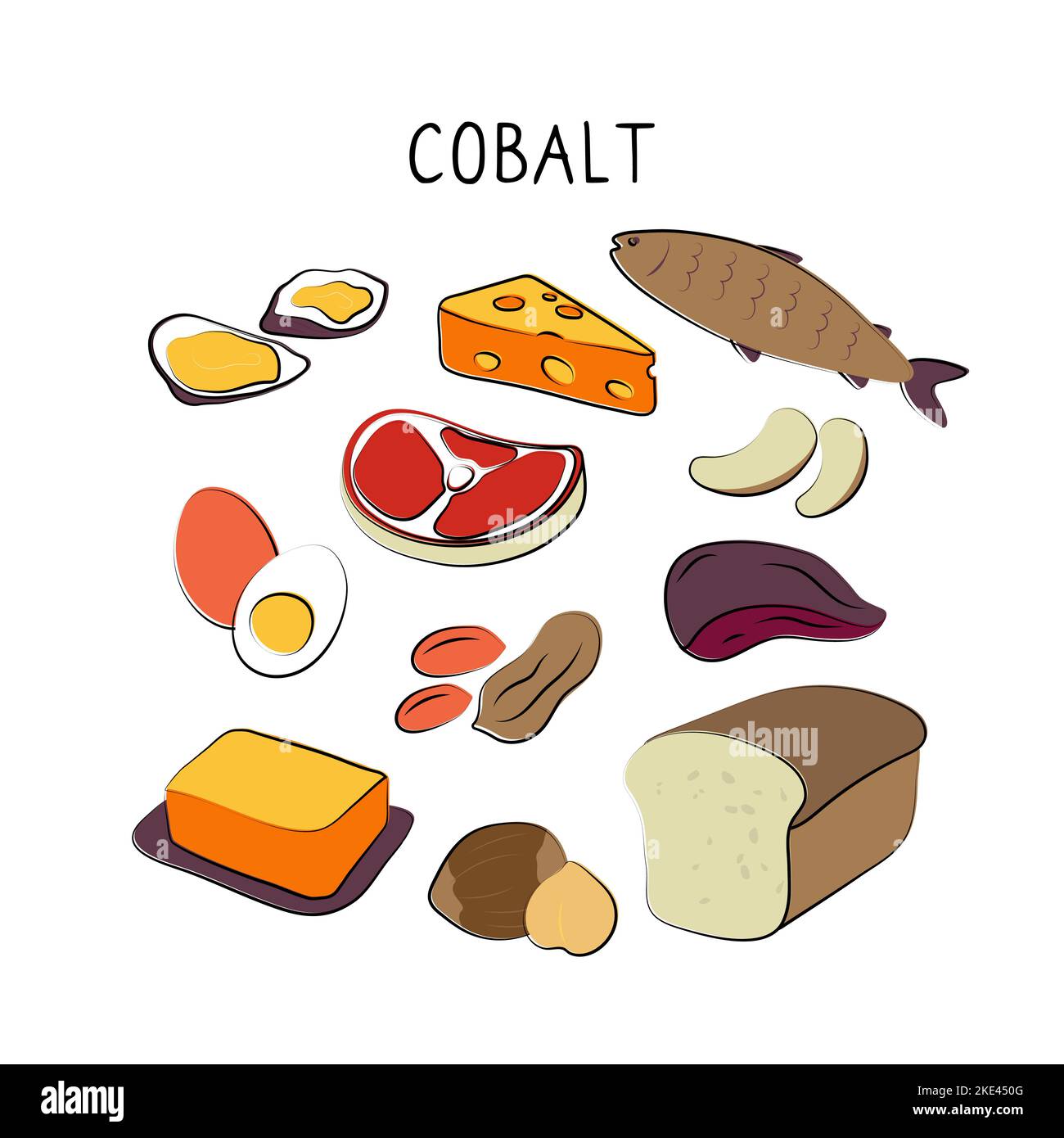 Cobalt-containing food. Groups of healthy products containing vitamins ...