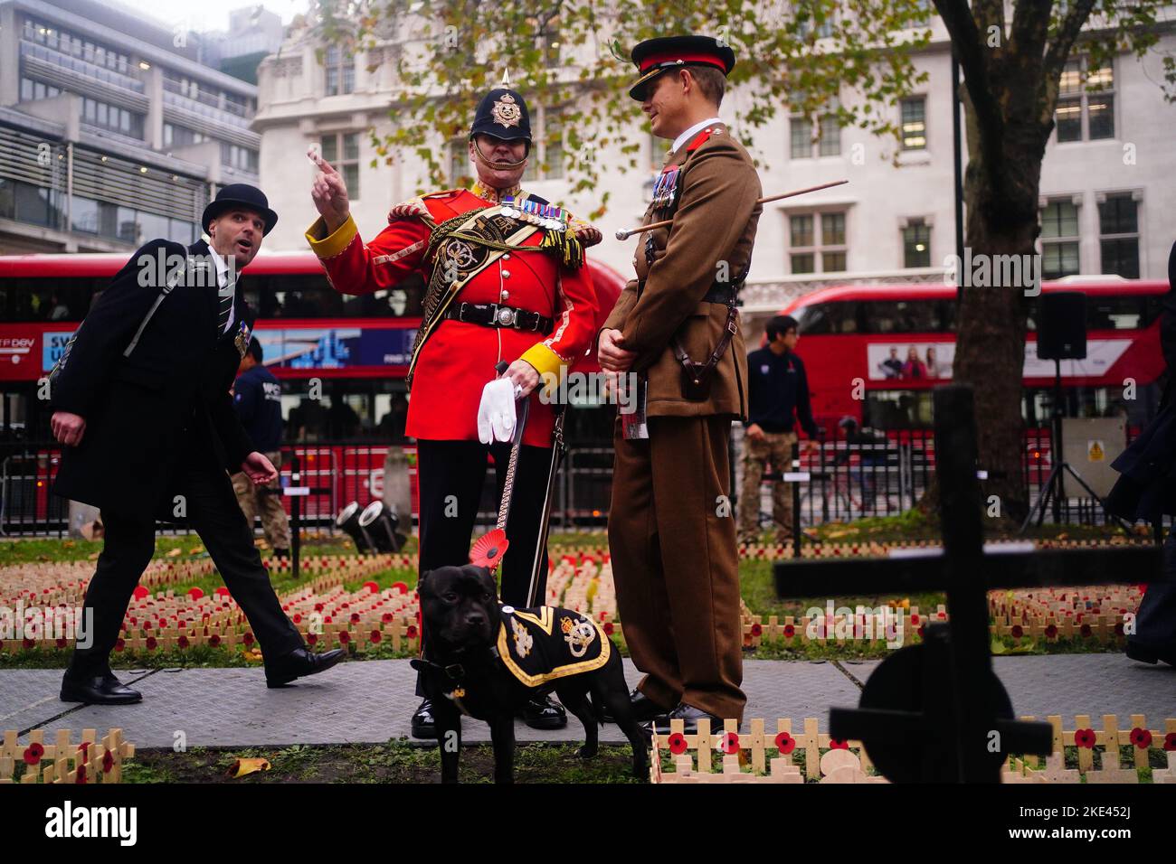 Former members of the military at the Field of Remembrance ahead of a ...