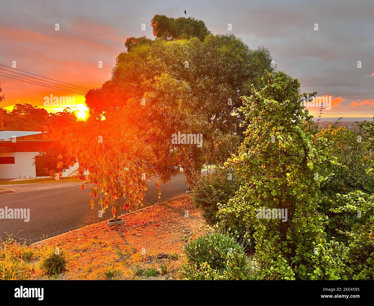 Street scene in Adelaide, Australia Stock Photo - Alamy