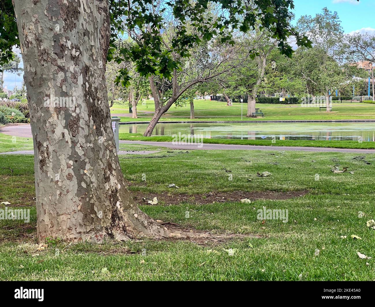 Street scene in Adelaide, Australia Stock Photo - Alamy