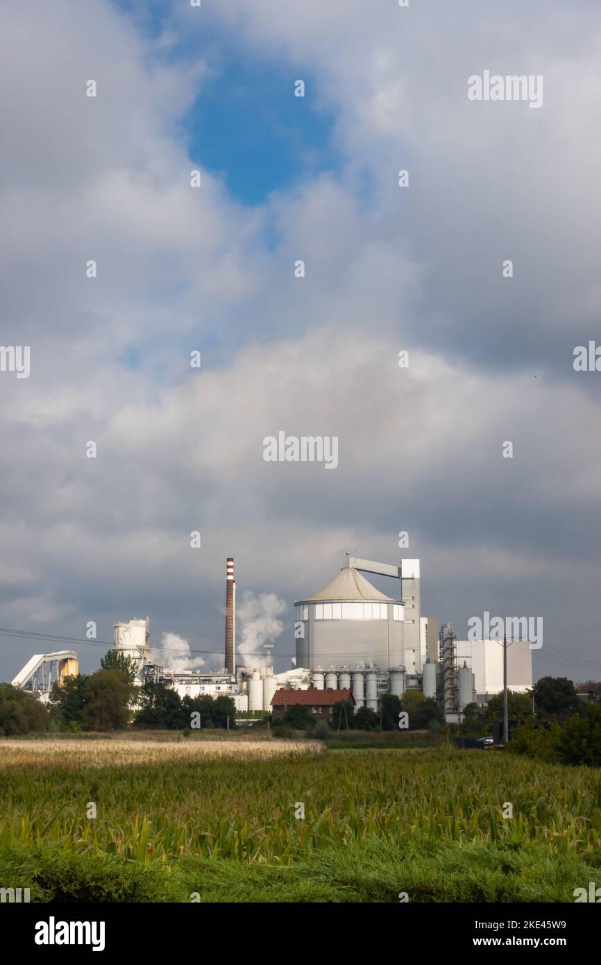 A large industrial plant in the distance. Sugar factory against the ...