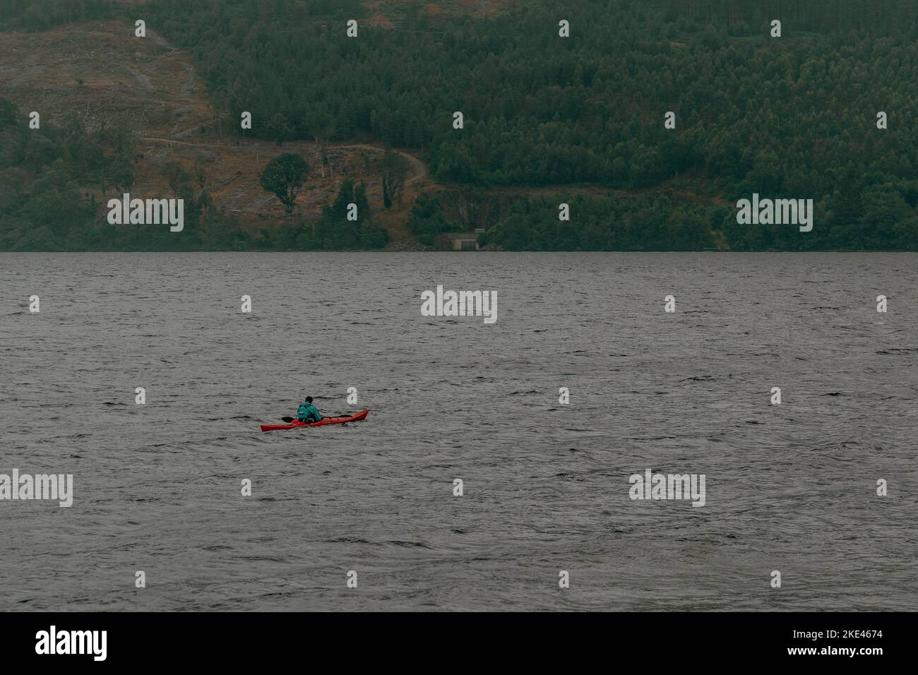 An aerial view of human floating on water surrounded by dense trees ...