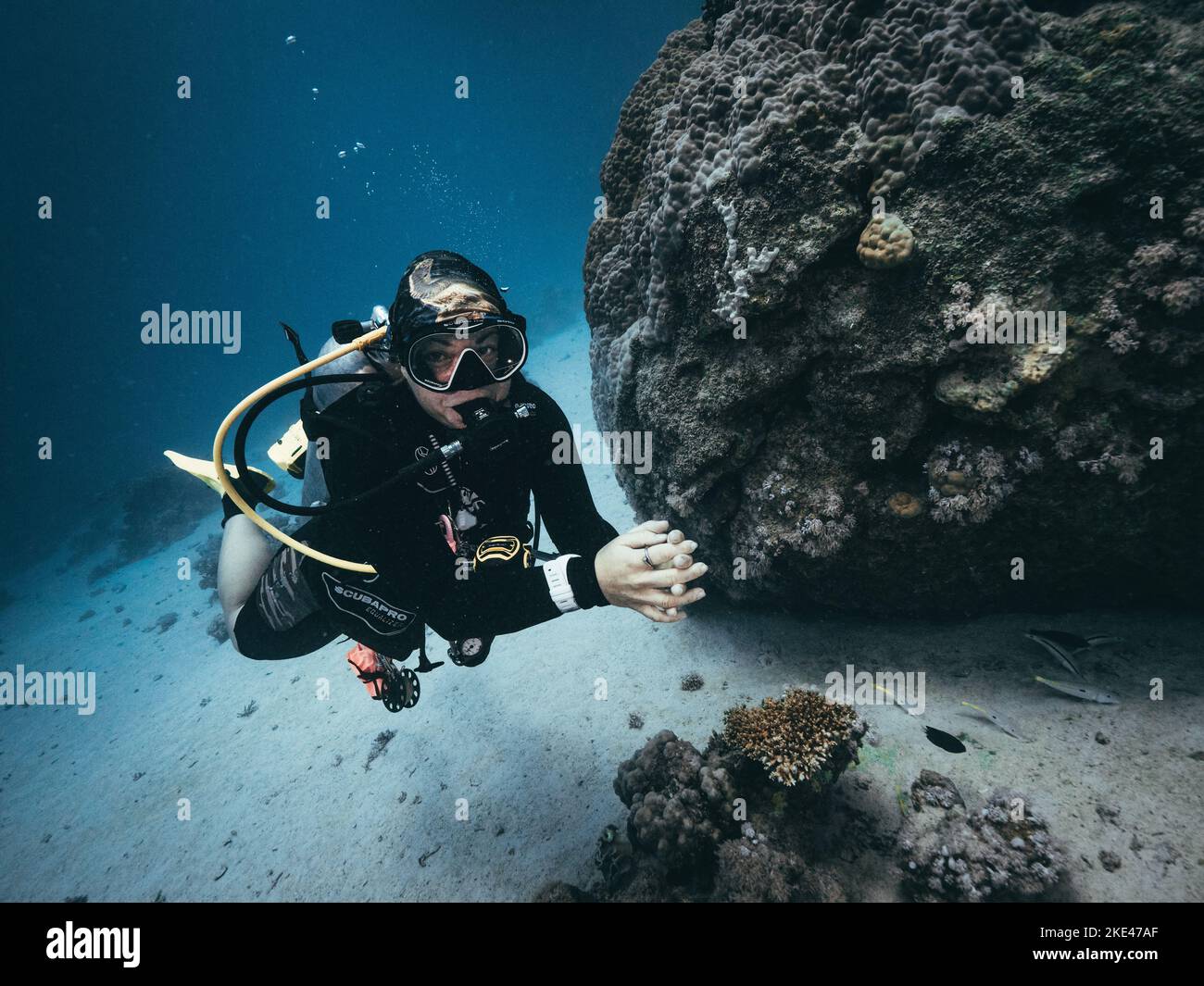 A fascinating shot from depths of the Red Sea and a scuba diver ...