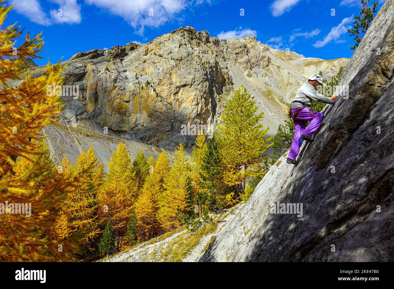 The queryas hi-res stock photography and images - Alamy