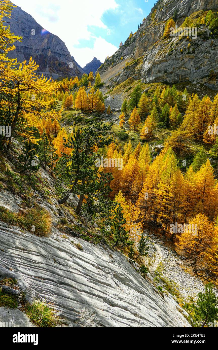 The Pra-Premier, The Queryas, Autumn in the Alps Maritimes, French Alps ...