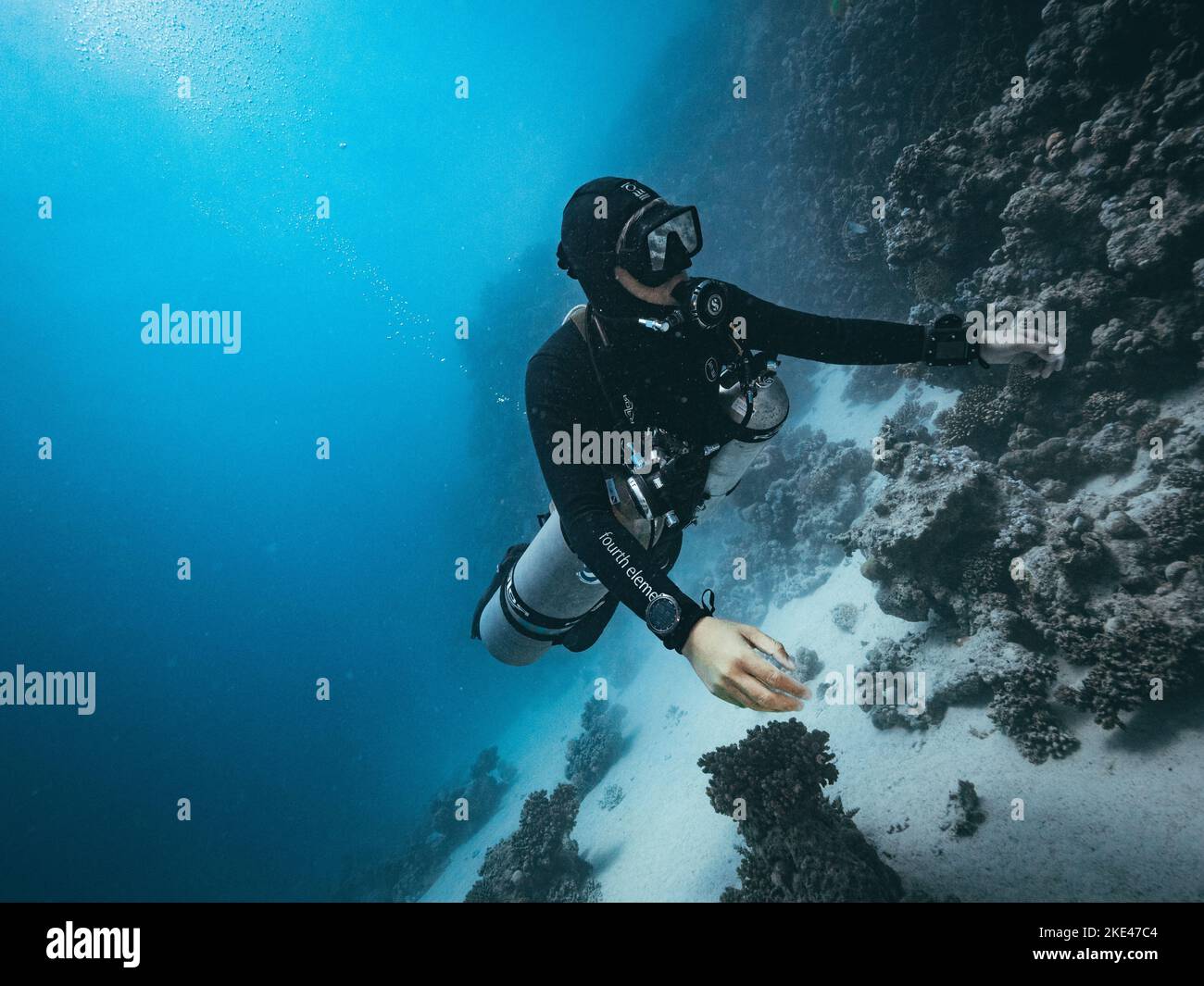 A fascinating shot from depths of the Red Sea and a scuba diver ...