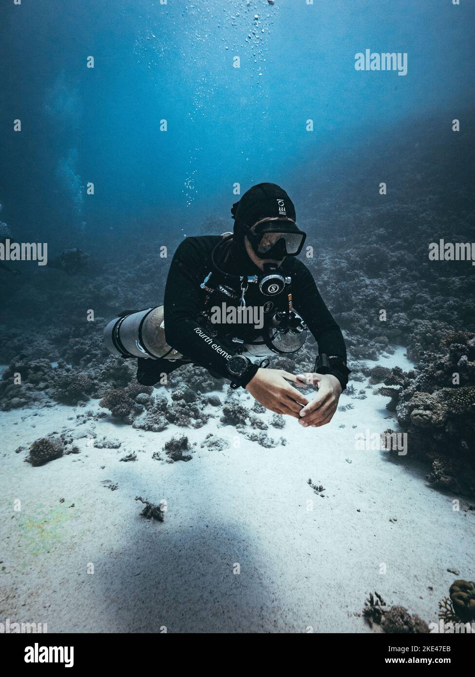 A vertical shot from depths of the Red Sea and a scuba diver exploring ...