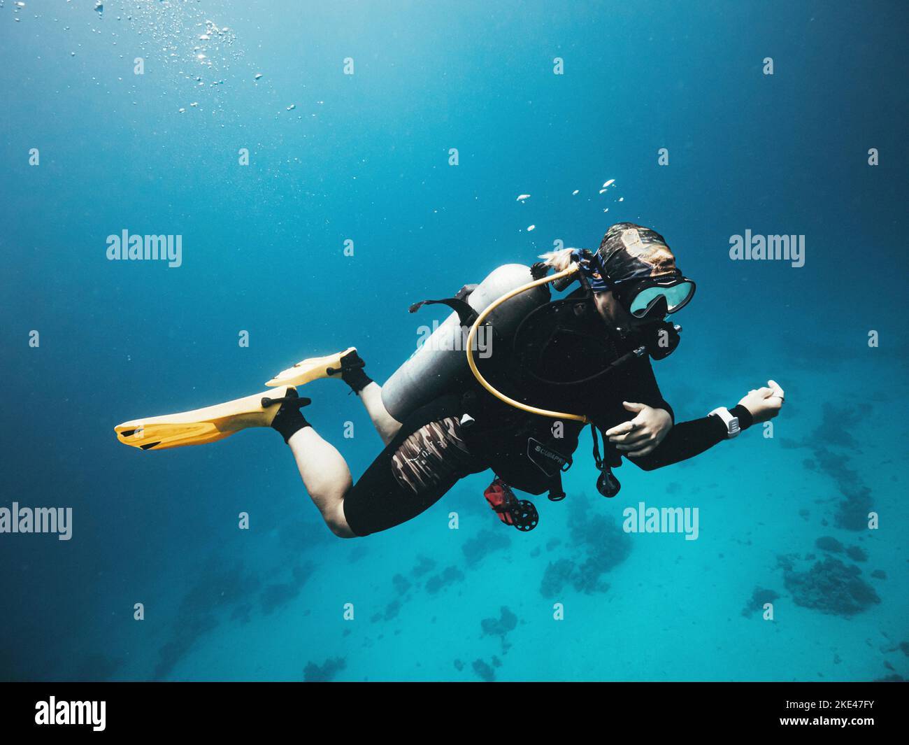 A fascinating shot from depths of the Red Sea and a scuba diver ...