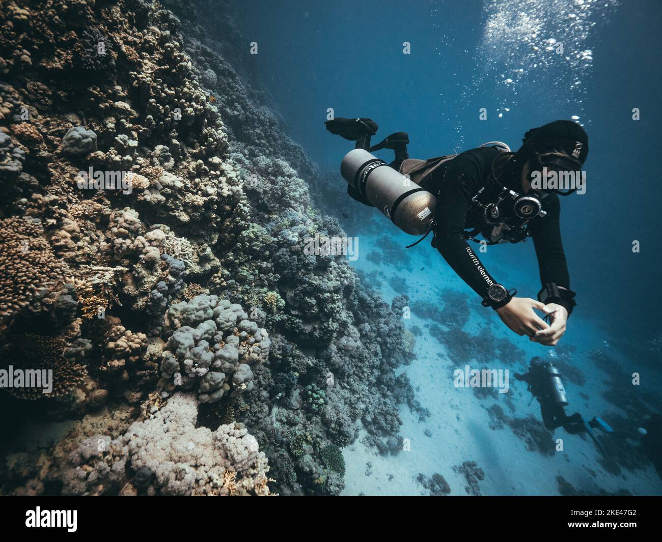 A fascinating shot from the depths of the Red Sea and a scuba diver ...